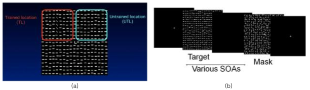 [보고서]시야장애 치료기술의 효과 증명
