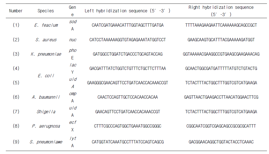 [보고서]다제내성균 신속 진단을 위한 라이게이션 기반 다중검출 기술 개발 및 검증