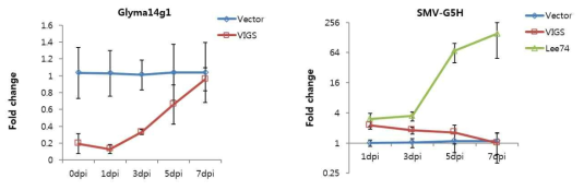 [보고서]콩 모자이크 바이러스 저항성 기전구명을 위한 저항성 관련 유전자의 발굴 및 특성구명