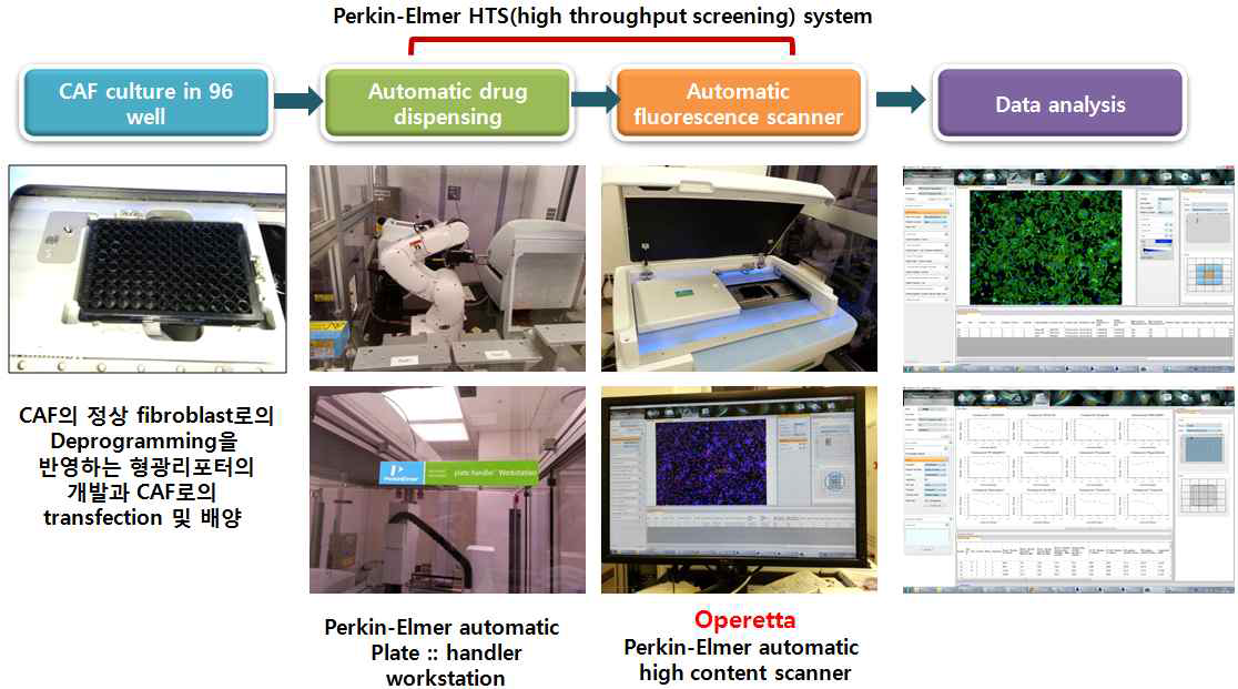 [보고서]암 연관 섬유아세포(CAF : cancer associated fibroblast) 조절 유전자 네트워크 규명과 새로운 ...