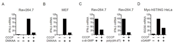 [보고서]세포질 내 DNA인식 선천면역에서 세포내 소기관의 역할