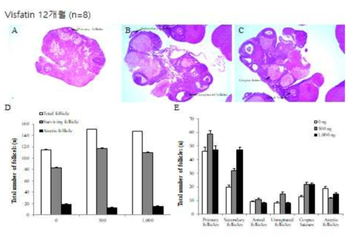 [보고서]Visfatin에 의한 신호전달 조절이 원시난포 및 난소표면상피줄기세포 활성에 미치는 영향