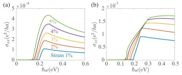 [보고서]높은 처리량 제일원리계산법을 활용한 위상 물질 연구