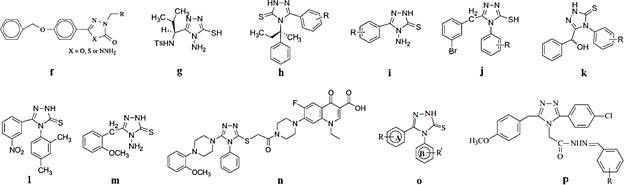 [보고서]항암 유전자 벡터와 광증감제가 포함된 나노입자형 방광암 치료제에 대한 연구