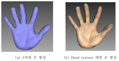 [보고서]인간친화적 제품 형상 설계 및 평가를 위한 3D 스캐너 기반 3차원 손 형상 모델 개발