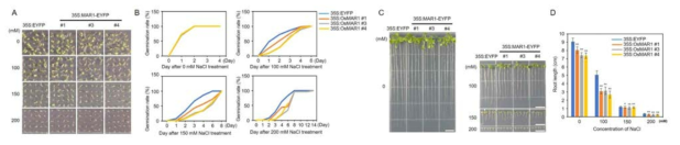 [보고서]화본과 작물의 내재해성 향상을 위한 유비퀴티네이션 조절 RING finger protein의 비교유전체 연구