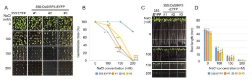 [보고서]화본과 작물의 내재해성 향상을 위한 유비퀴티네이션 조절 RING finger protein의 비교유전체 연구