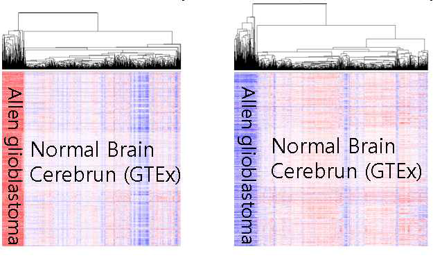 [보고서]통합형 유전체(integromics) 지도 기반 표적지향형 나노전달체를 이용한 다크매터 치료 기술 개발