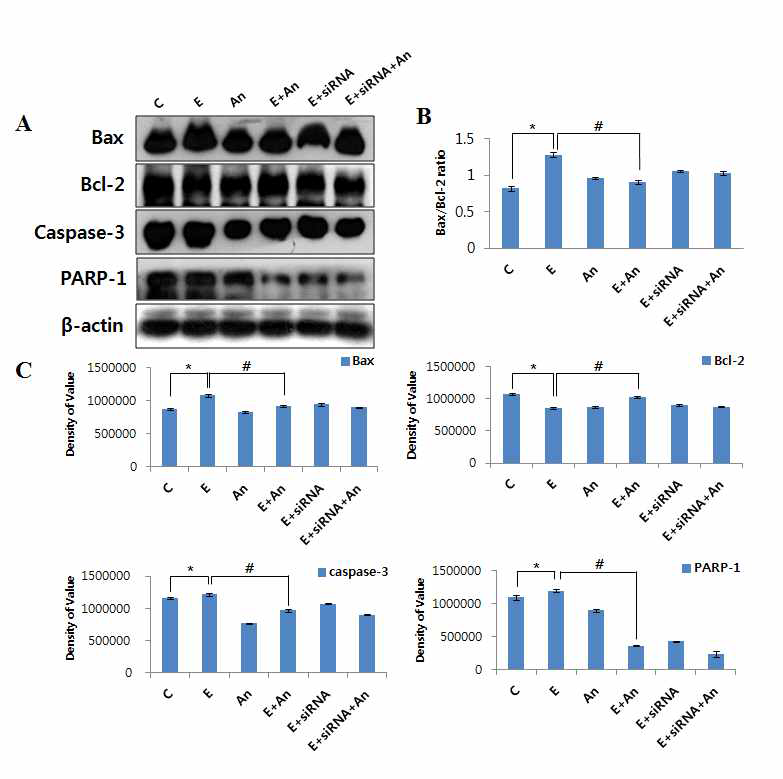 [보고서]치매(뇌기능항진 조절) 치료 천연신물질 소재개발; 나노담체 적합형 약물 기술개발