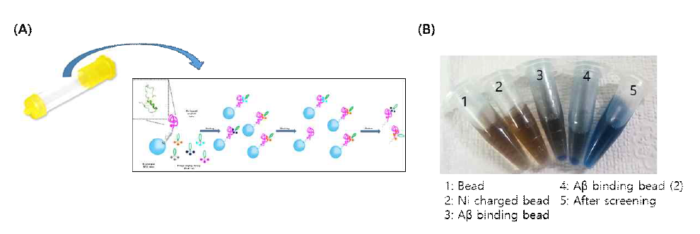 [보고서]알츠하이머병의 병전 진단을 위한 신규 고민감도 펩타이드 기반 진단 시스템 프로토콜 구축