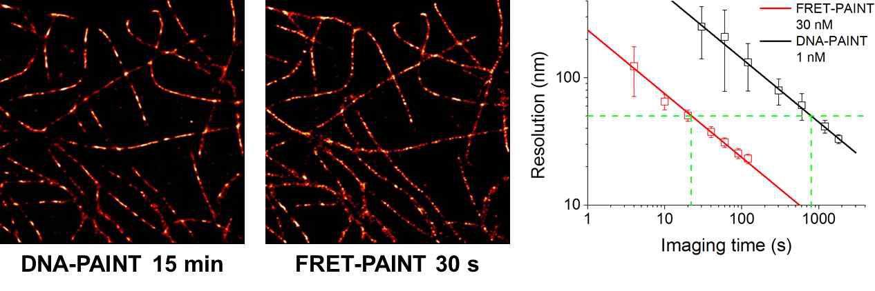 [보고서]물리유전학 연구단