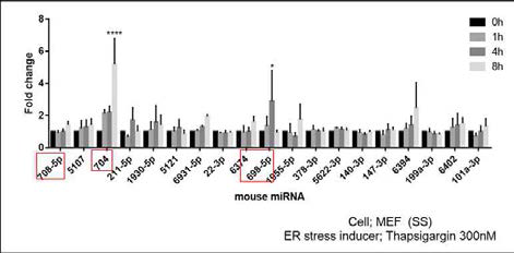 [보고서]ER stress와 eIF2α 인산화에 의한 microRNA의 발현 양상 조절 기전 연구