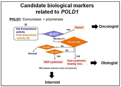 [보고서]난청과 암을 포함하는 표현형 다면발현을 보이는 POLD1 유전자의 발병 기전 규명 및 이를 이용한 진단 및 치료계획에의 적용