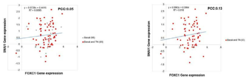 [보고서]종양억제 유전자 NDRG2의 하위 표적으로서의 전사인자 발굴 연구 및 그 작용기전 연구