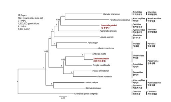 [보고서]자생 생물자원의 유전자 다양성 연구