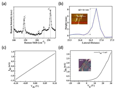[보고서]양자 터널링층 및 탄소점을 이용한 이차원물질 기반 소자의 오믹 접촉저항 향상 연구