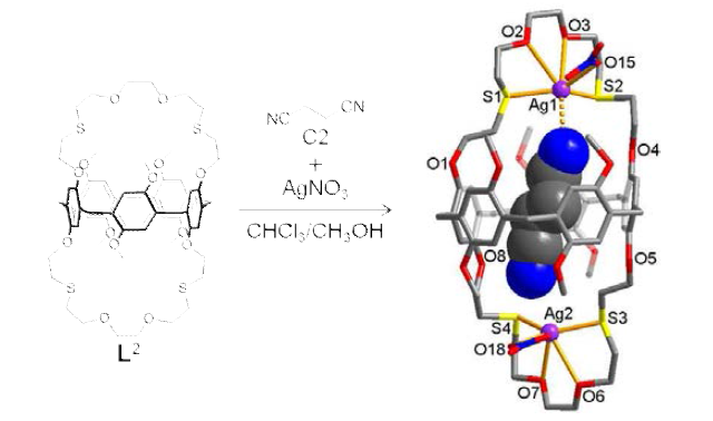 [보고서]필라[5]아렌 치환체의 금속초분자 화학