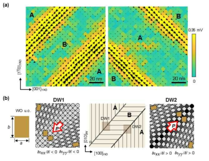 [보고서]소재 모델링, 정밀분석과 소재정보학 기반 소재설계 기술