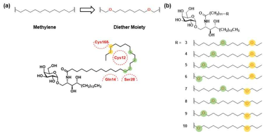 [보고서]화학 단백질체학 연구단