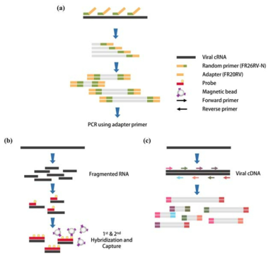 [보고서]통합 생물정보 기반의 설치류 매개 감염병 대응 국가방역체계 연계 원천기술 확보