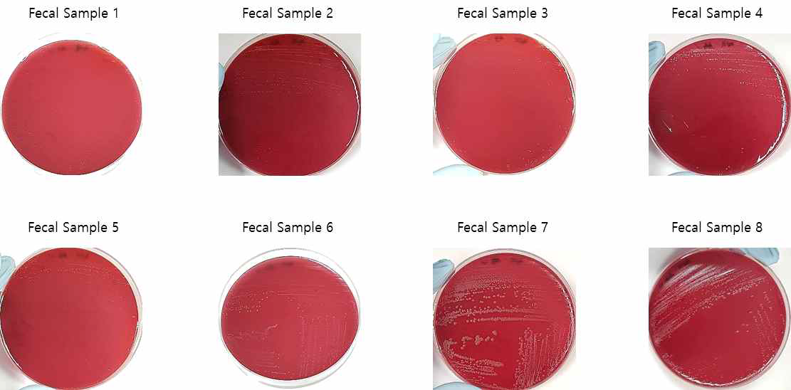 [보고서]아토피피부염 질환군의 마이크로바이옴 분석을 통한 파마바이오틱스 발굴 및 생태학적 기전 연구