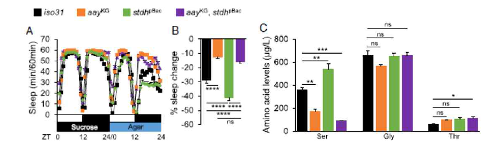 [보고서]수면 스트레스 신호의 제어를 통한 수면모방 기술 개발