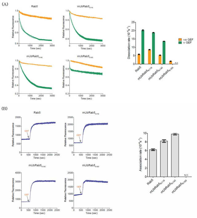 [보고서]Rab의 유비퀴틴화에 의한 세포 내 이동의 혁신적 기작 연구