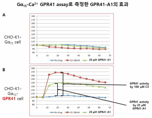 [보고서]GPR41-표적 당뇨치료제 발굴기술을 통한 선도물질 도출 및 작용기전 규명