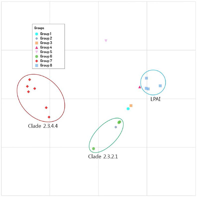 [보고서]국내외 H5형 HPAI 백신후보주 라이브러리 구축 및 평가