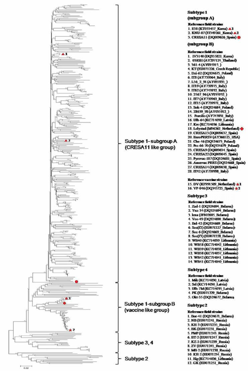 [보고서]국내 감염 PRRS 바이러스의 변이 및 병원성 모니터링