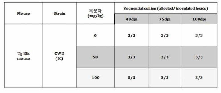 [보고서]분자설계를 이용한 변형프리온 억제물질 선발 및 기전 연구