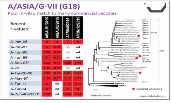 [보고서]국내 최적합 구제역 백신주 선정을 위한 상시 모니터링 체계구축 연구