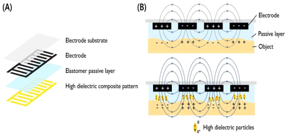 [보고서]Dielectric passive layer의 패턴화를 통한 electroadhesion 연구