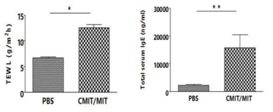 [보고서]마우스모델을 이용한 가습기살균제 성분 (CMIT/MIT)의 아토피피부염 유발 가능성 검증