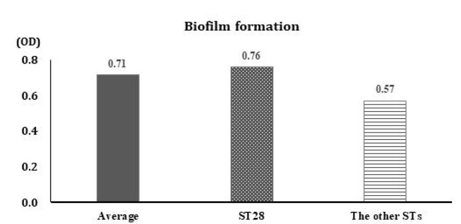 [보고서]Stenotrophomoas maltophilia의 trimethoprim/sulfamethoxazole 내성 메카니즘 ...