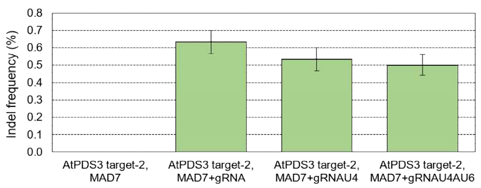 [보고서]로열티 free CRISPR-MAD7기반 식물 유전자 교정 시스템 구축