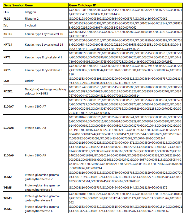 [보고서]유전체데이터베이스 메타분석을 통한 피부노화유전자 규명 및 노화조절물질 연구