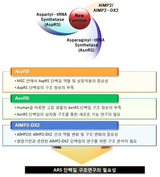 [보고서]ARS drug screening을 위한 요소 단백질들의 정제, 구조분석 및 생화학적 동정법 개발연구