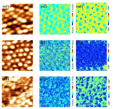 [보고서]닫힌루프형 상거동을 갖는 블록공중합체를 이용한 신기능성 나노 재료의 개발