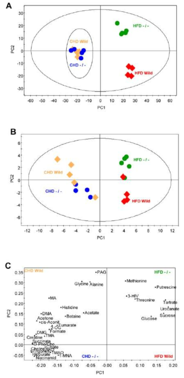 [보고서]비만세포 분화에서 Ahnak단백질의 새로운 기능과 신약타겟으로써의 검증