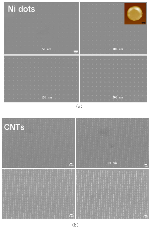 [보고서]기능성 나노전극소자 응용 카본나노튜브 나노탐침 어레이의 선택적 성장기술 개발