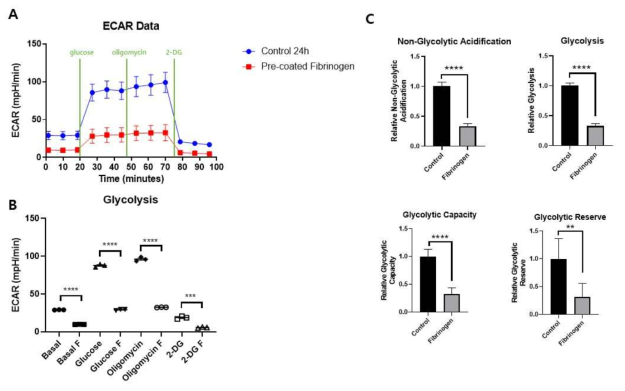 뇌발달 및 뇌질환의 원인규명, 진단 및 제어법 개발