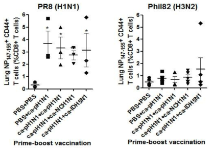 [보고서]범용 인플루엔자백신의 효능평가 시험법 개발 연구