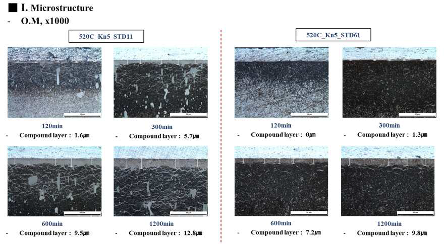 [보고서]Kn 제어 및 암모니아 사용량 저감을 위한 2ton급 Pit 타입 가스질화 시스템 개발