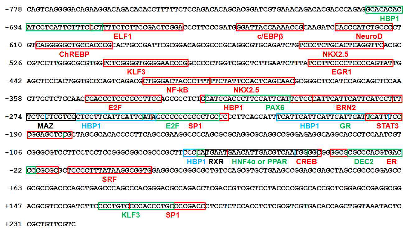 [보고서]거핵세포 분비인자를 이용한 골형성 촉진용 비부갑상선호르몬계 골다공증 치료 표적 발굴