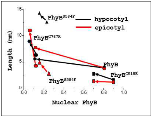 [보고서]광합성 세균 광센서 활용 식물의 고온/가뭄 저항성 제어 기술 개발