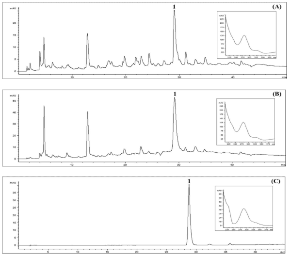 [보고서]기능성 신형질 벼 품종개발 및 고부가가치 실용화