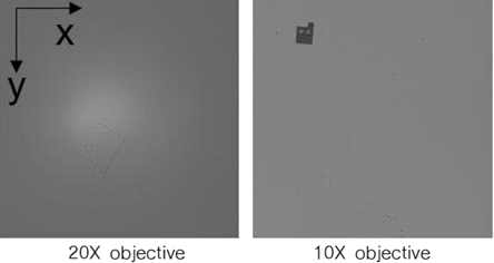 [보고서]농생물게놈활용연구사업 성과확산을 위한 기술마케팅 시스템 구축