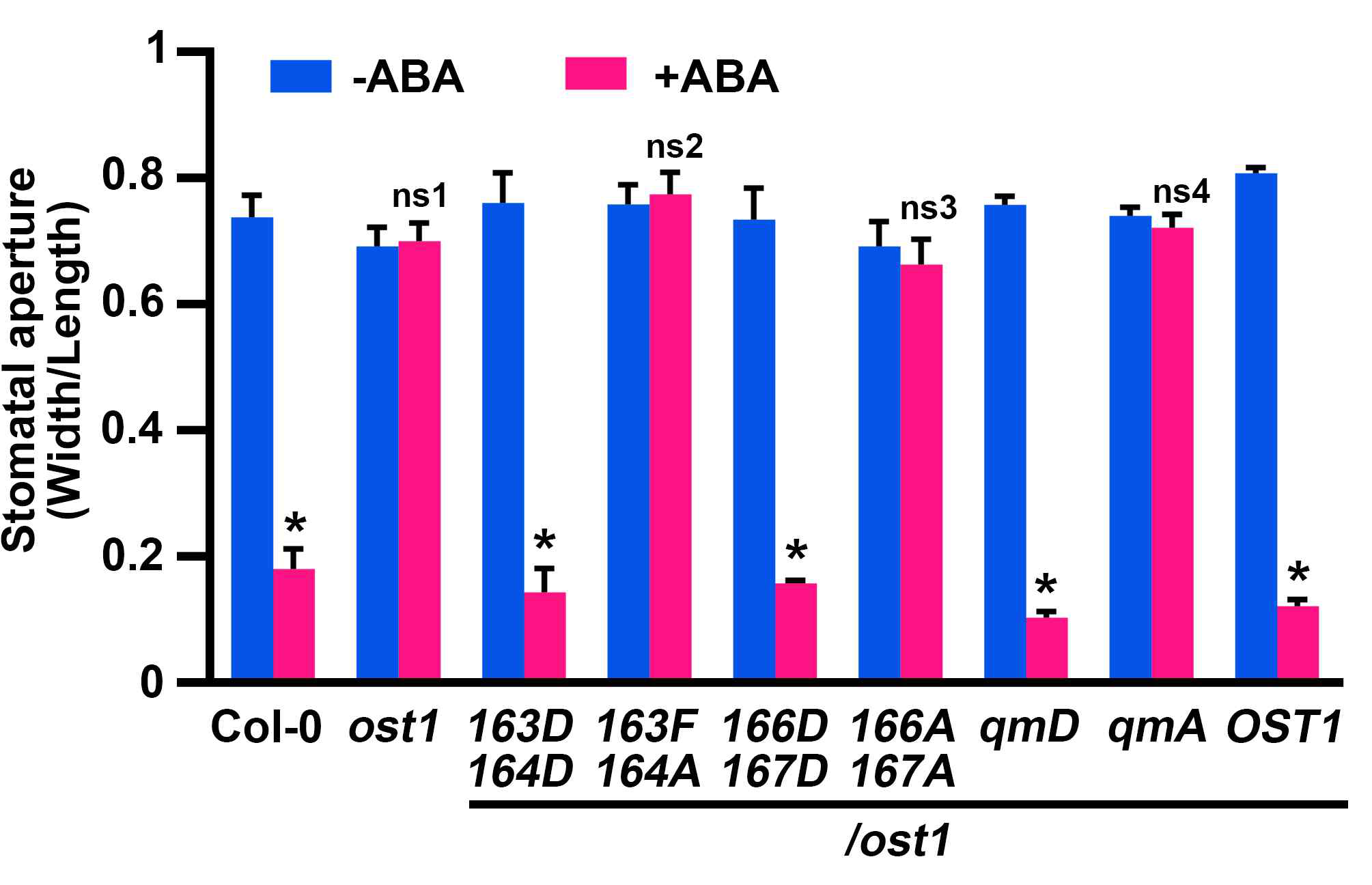 [보고서]LRR-RLKⅡ subfamily에 의한 공변세포 개폐 조절 과정의 규명