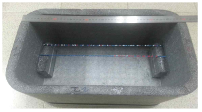 [보고서]개 생식세포 동결보존기술 개발